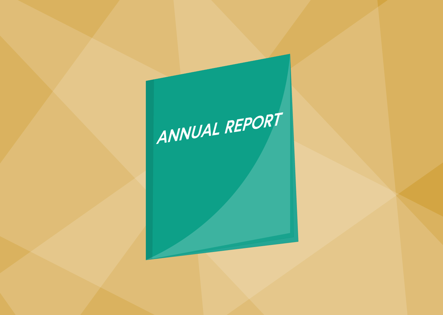 Nonprofit Annual Reports How To Create Your Best One Yet 15 Examples 