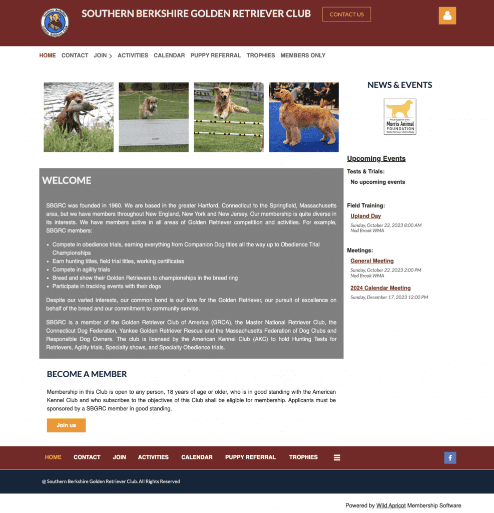 7 Solid Club Website Examples To Get Ideas For Your Club Website