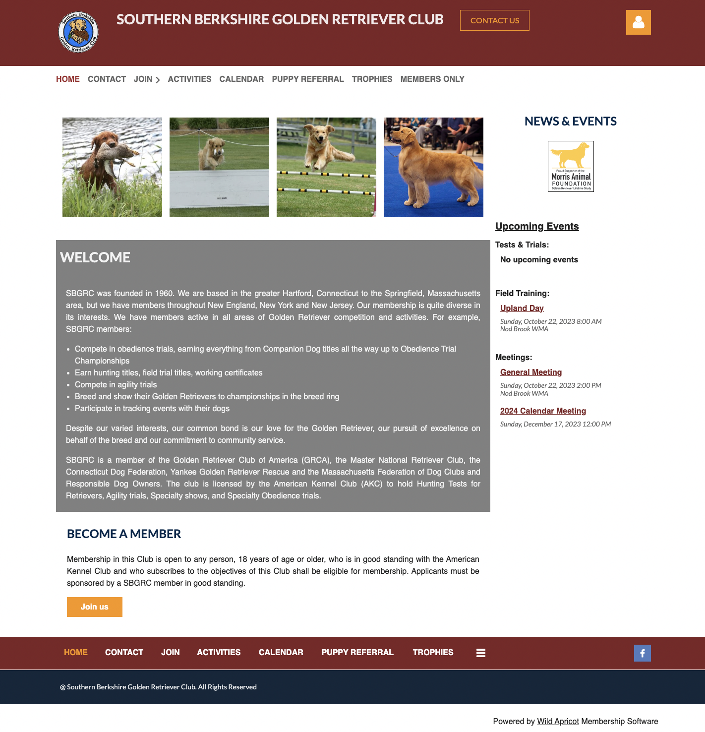 7 Solid Club Website Examples to Get Ideas for Your Club Website