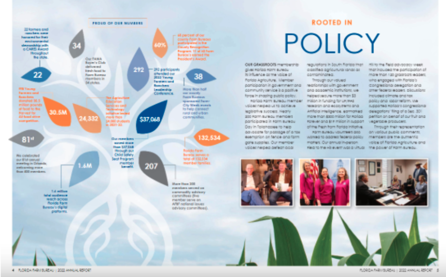 Nonprofit Annual Reports: How To Create Your Best One Yet (+15 Examples)